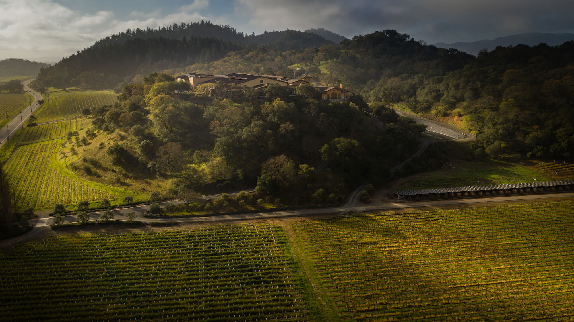 Our Wines - Silverado Vineyards